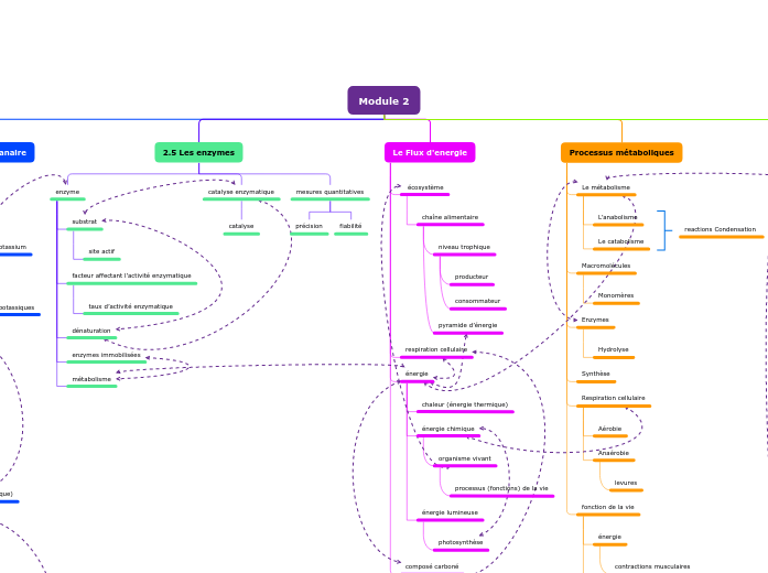 Module 2 - Mind Map